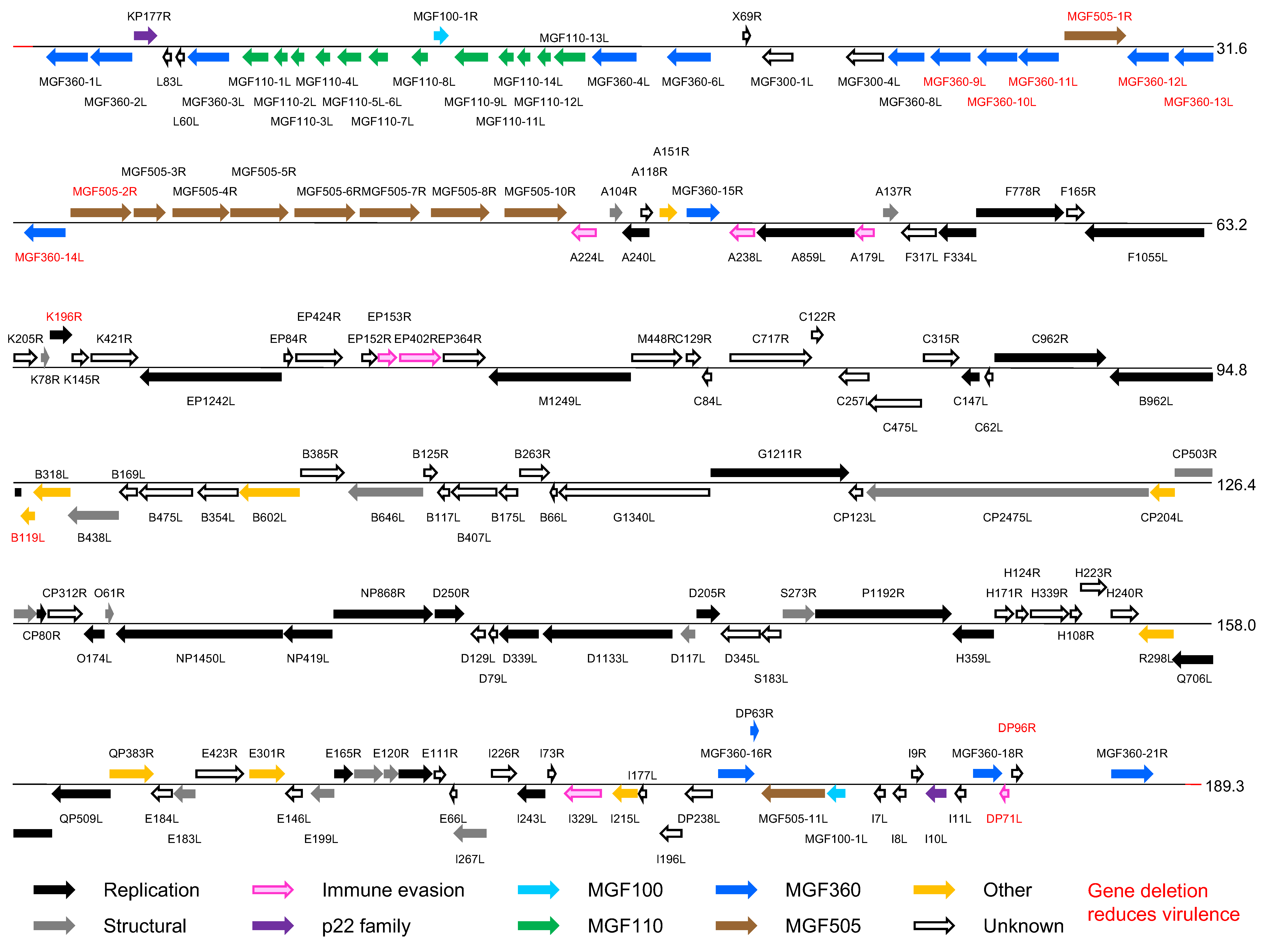Family: Asfarviridae | ICTV