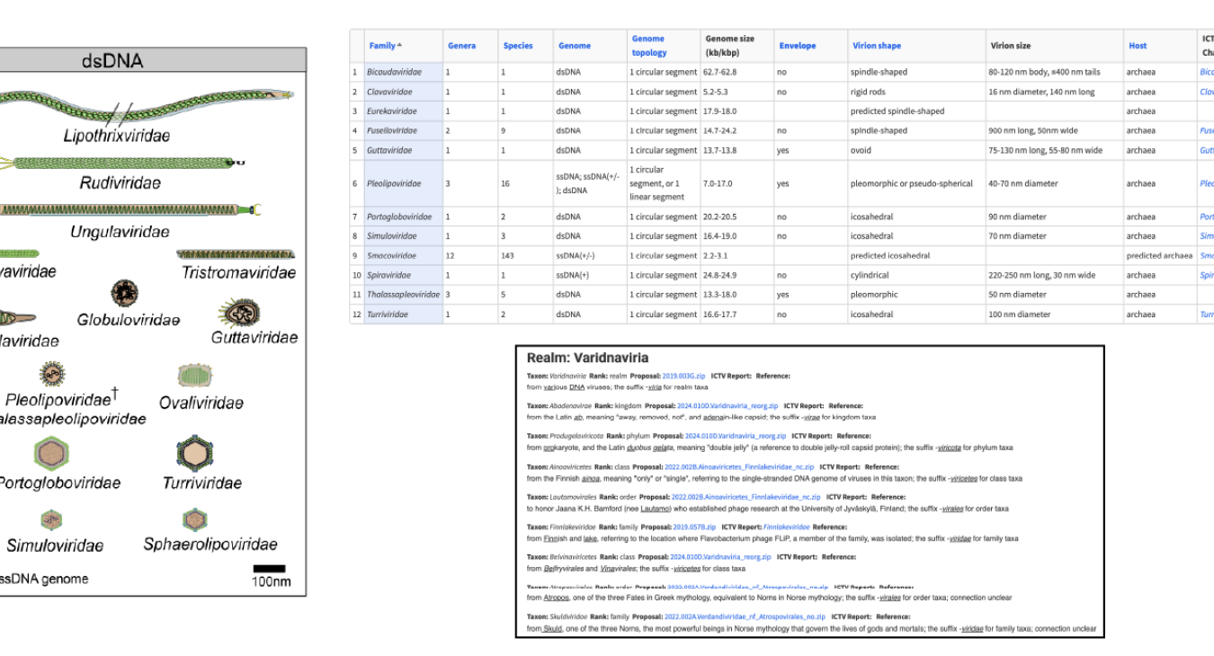 Virion Properties, Diagrams, and Taxon Etymology | ICTV