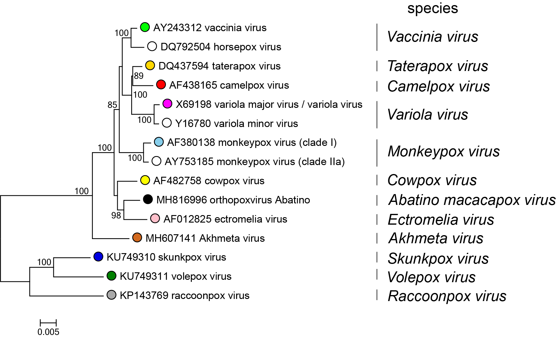 Family: Poxviridae | ICTV